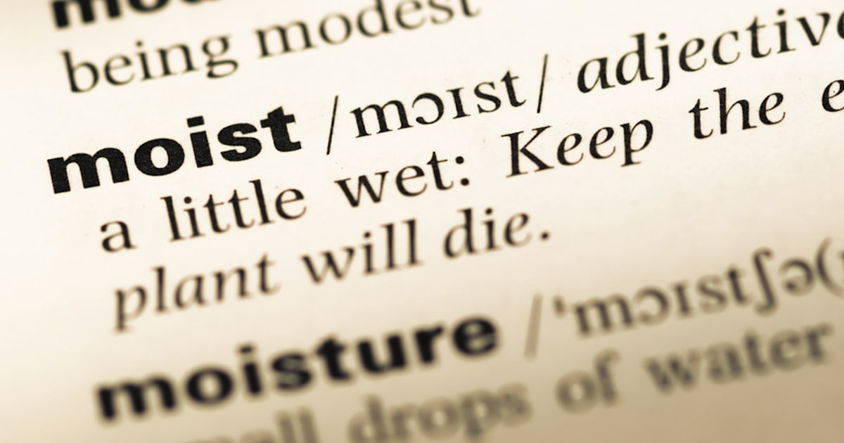 'Moist' is just inexplicably gross, new study finds
