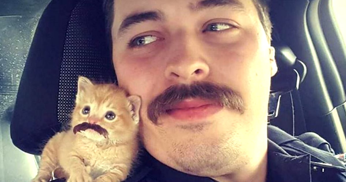 South Carolina police officer gives rescued kitten new home