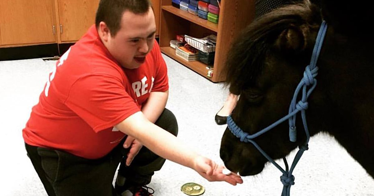 Miniature horse helps students with autism feel at ease