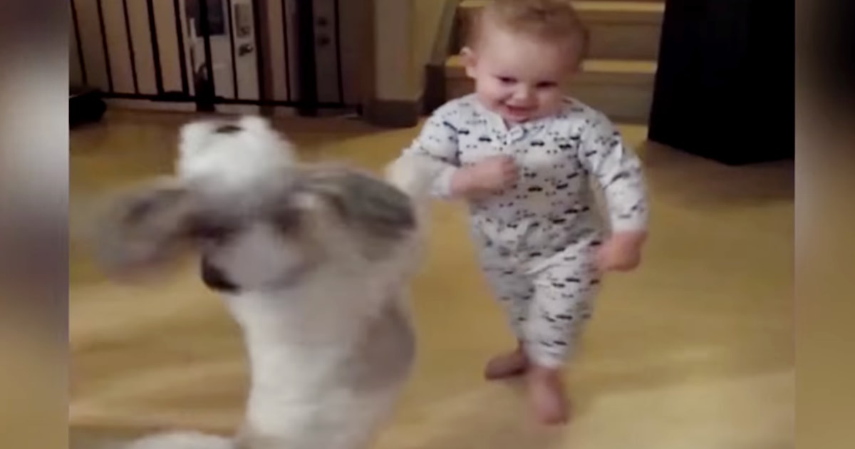 Baby goes for a spin with dog, who's begging for a treat: Watch the video!