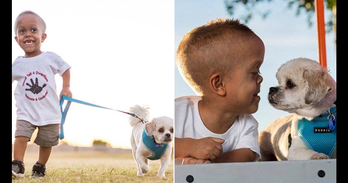 New dog helps 5-year-old boy with dwarfism stand tall to bullies