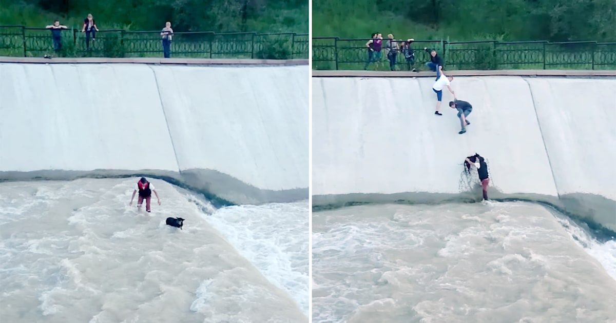 Friends form human chain to save dog stuck in reservoir