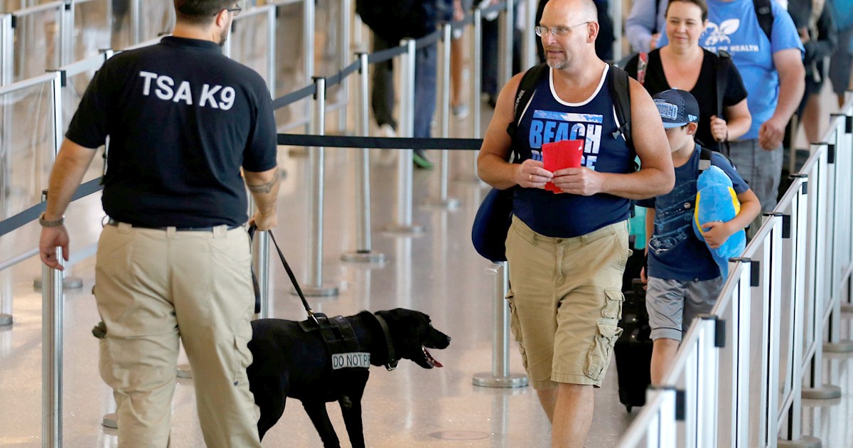 TSA bomb-sniffing dogs repeatedly failed important safety tests, NBC ...