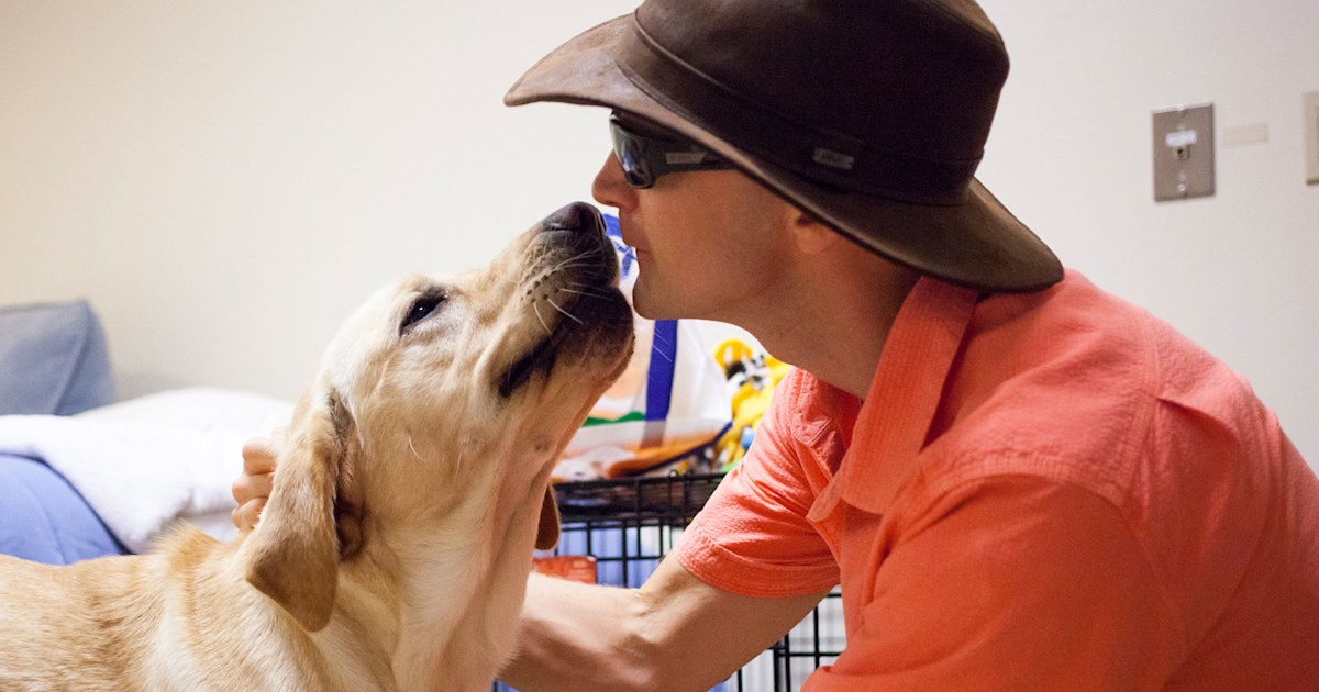 Wrangler is officially a guide dog! Meet his new family