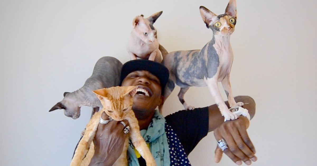 Rapper iAmMoshow sings about his love of cats — and cat ladies
