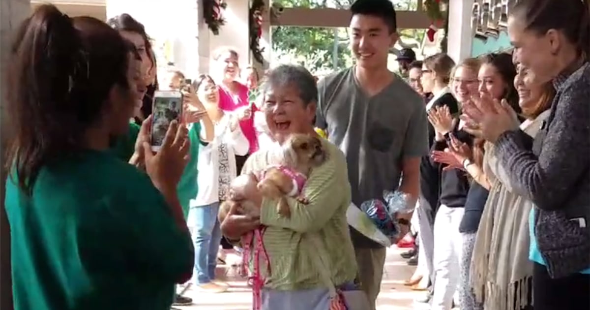Volunteers gather to give big farewell to very last dog adopted from ...