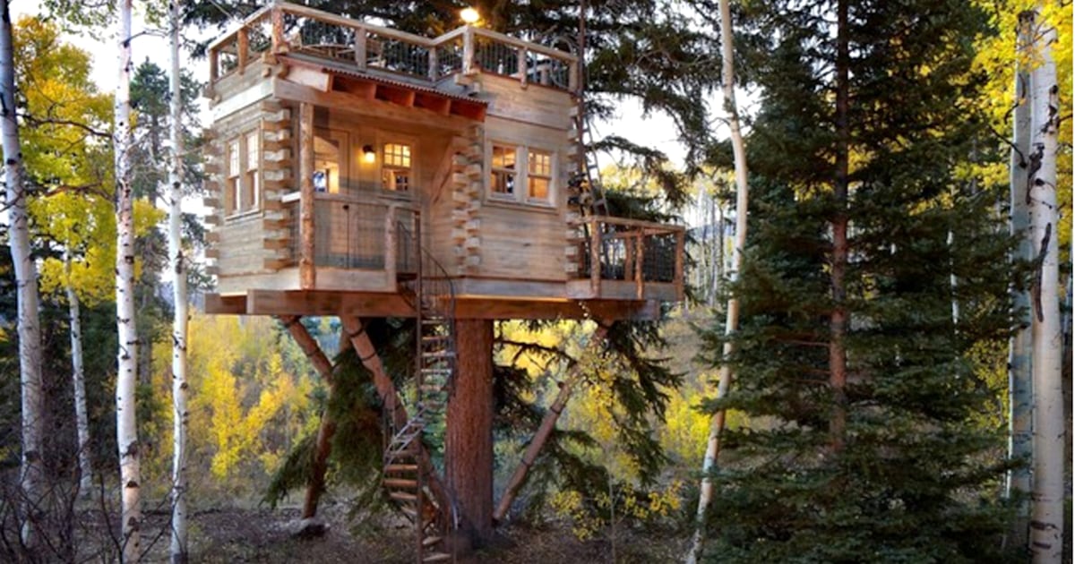 See inside the amazing Colorado tree house with a kitchen