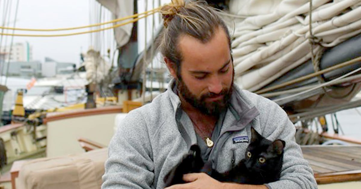 Ship captain Alex Peacock adopts shelter kitten