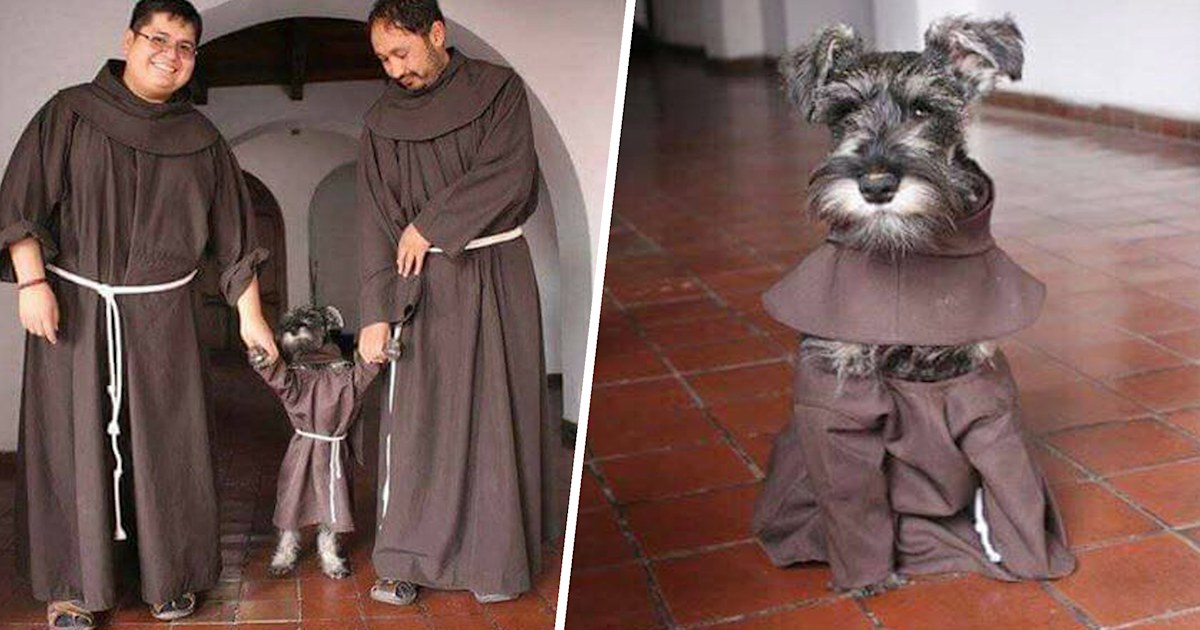 Monks induct stray dog, aka Friar Mustache, into brotherhood