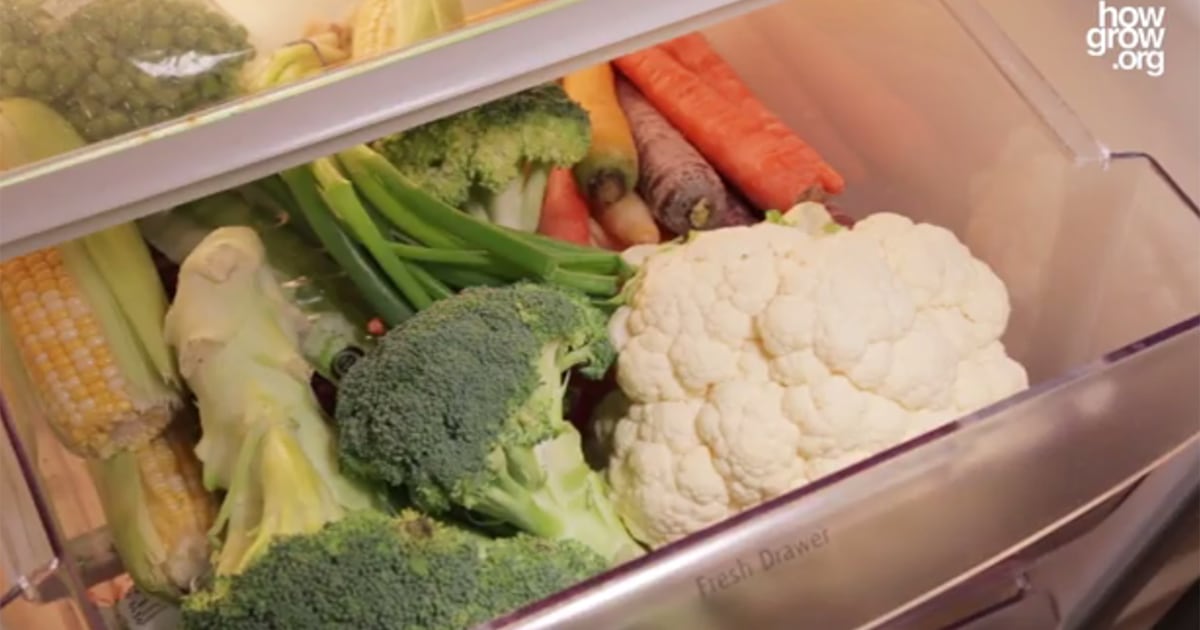 How to properly store food
