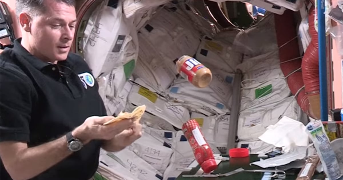 Astronaut Make Me A Sandwich How To Make A Sandwich In Space [VIDEO]