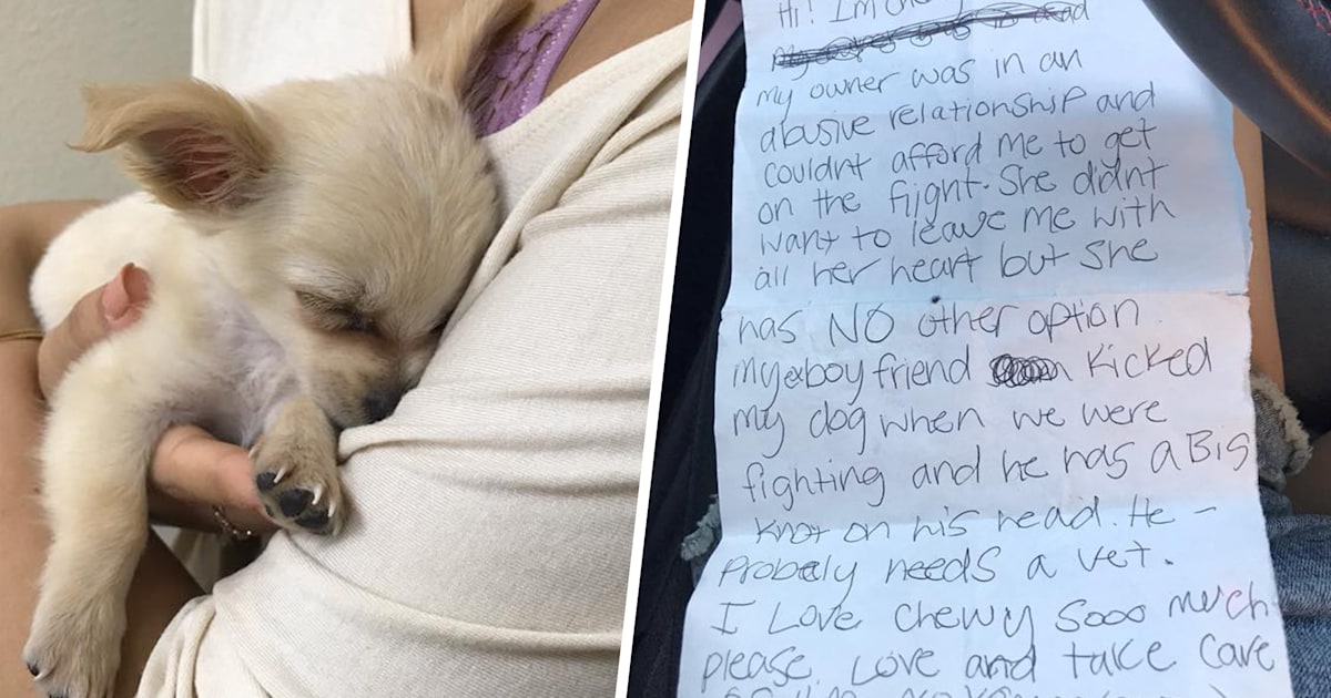 Dog left at airport with sad note about domestic violence