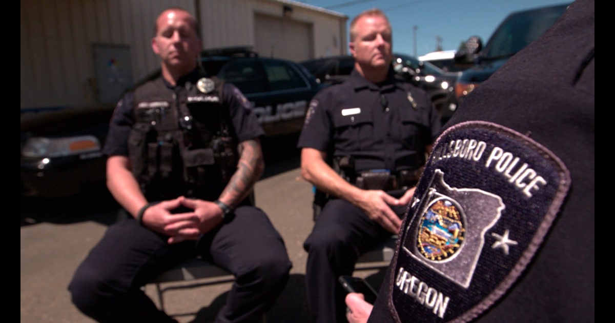 Brain health program aims to help police deal better with stressful ...