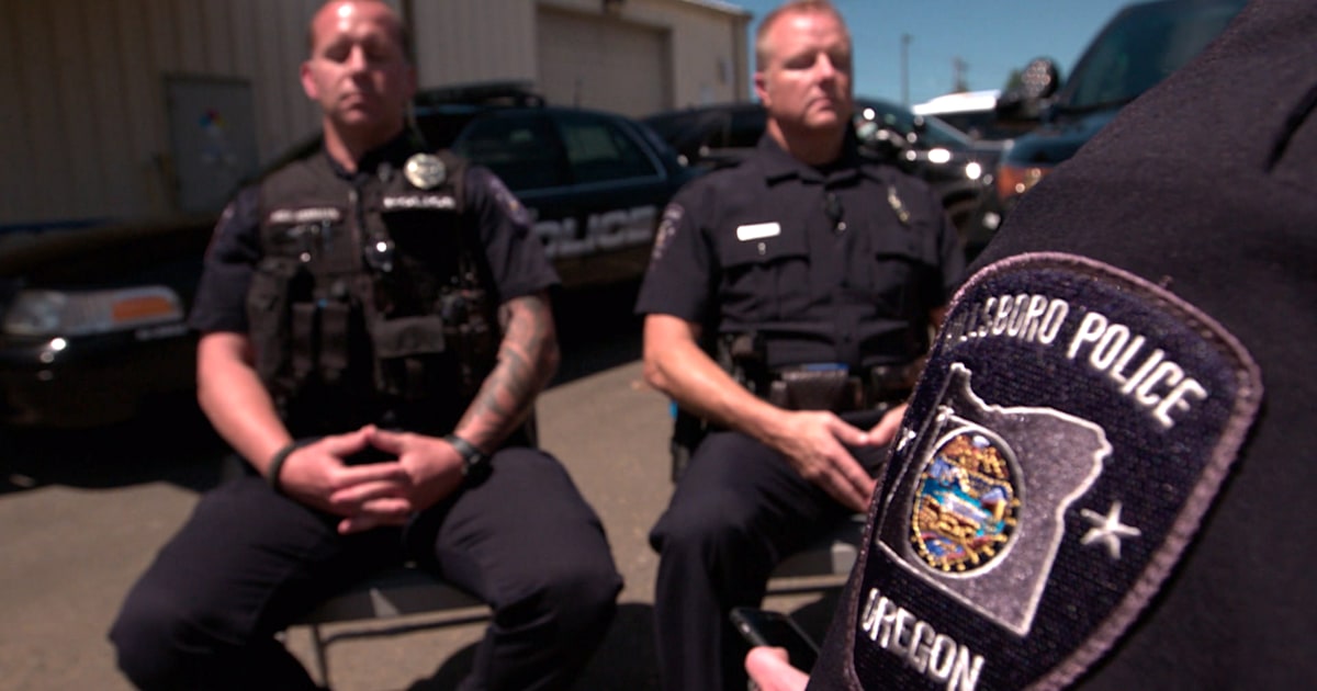 Brain health program aims to help police deal better with stressful ...