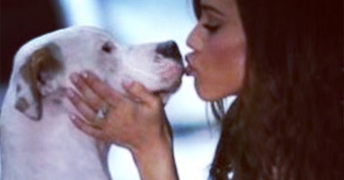 Jessica Alba mourns the loss of 2 dogs within 2 weeks