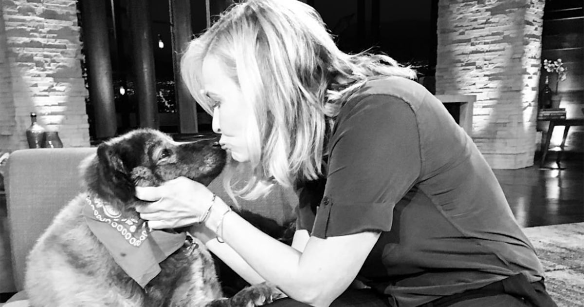 Chelsea Handler loses her beloved rescue dog Tammy