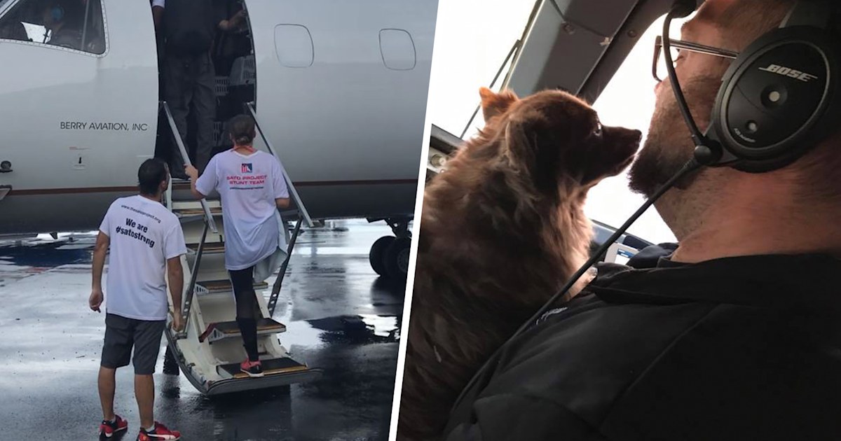 Pilots help animals in Puerto Rico after Hurricane Maria