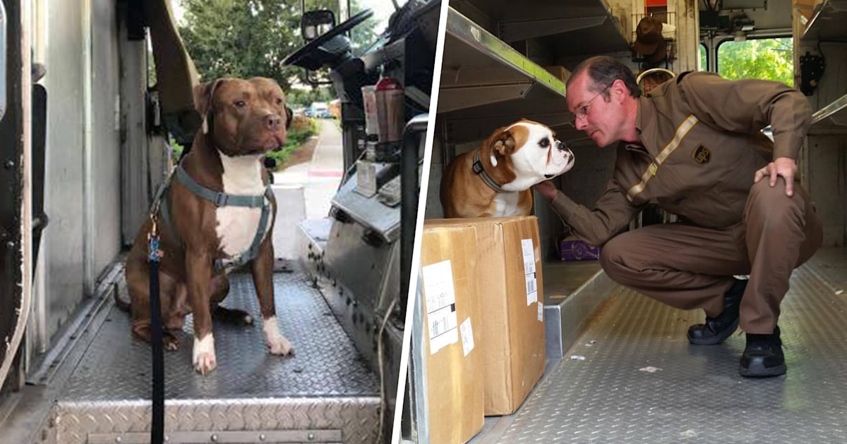 UPS driver starts Facebook group for drivers to swap dog pics