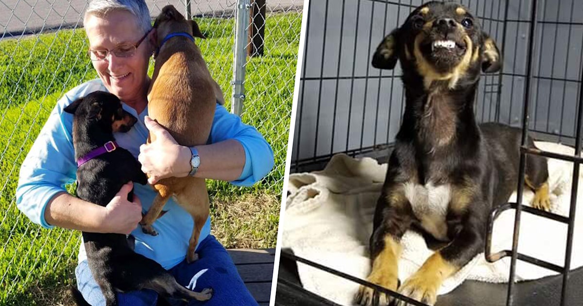 Smiling shelter dog from viral photo gets adopted