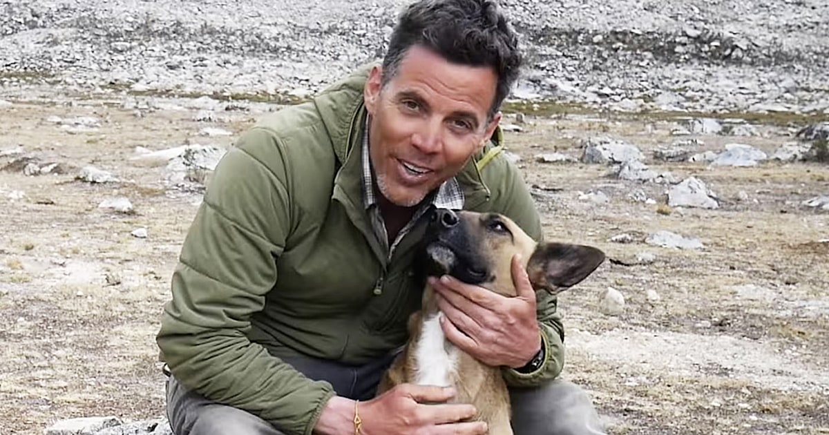 Steve-O rescues stray dog in Peru, finds 'true love'