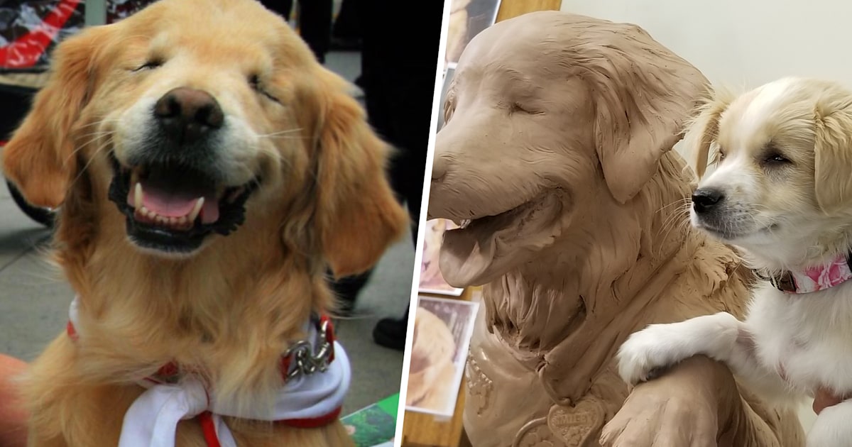 Smiley the blind therapy dog's legacy lives on with puppy, statue