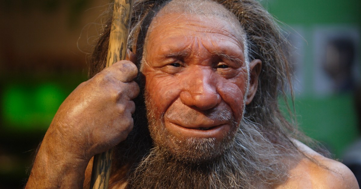 neanderthal genetic code