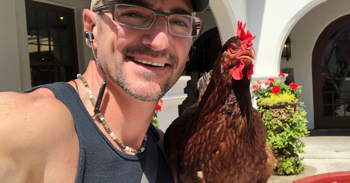 Man adopts pet chicken after death of dog, winning fans everywhere
