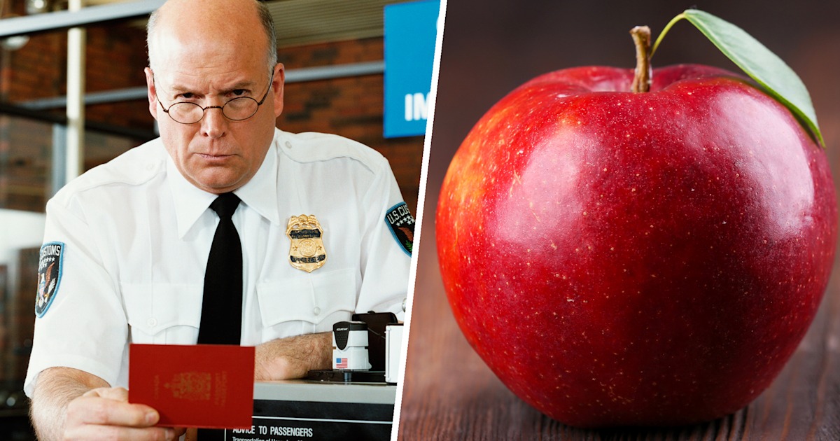 US Customs fines woman $500 for free airline snack