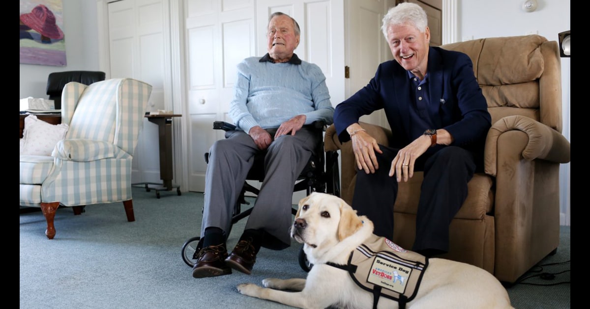 Former President George H.W. Bush welcomes new family member: Sully the dog