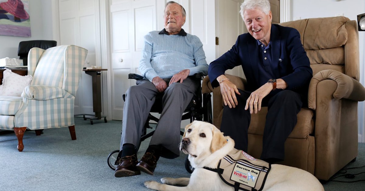 Former President George H.W. Bush welcomes new family member: Sully the dog