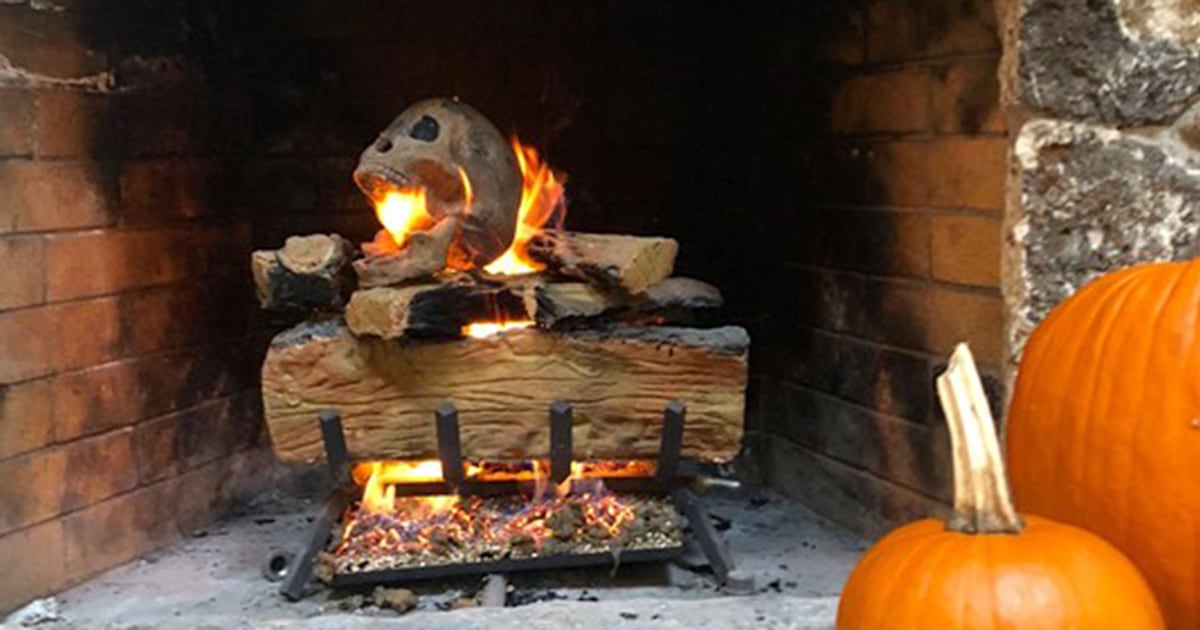 Scary Halloween decoration: The skull log looks truly creepy