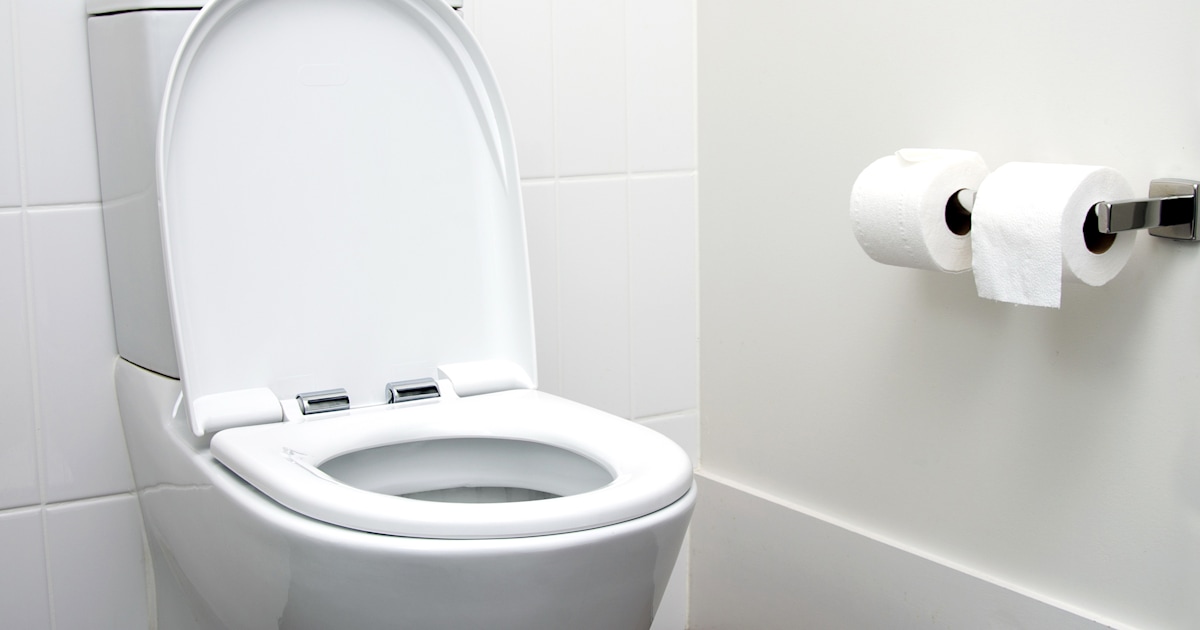 Are bidet attachments for toilets really popular in the US?