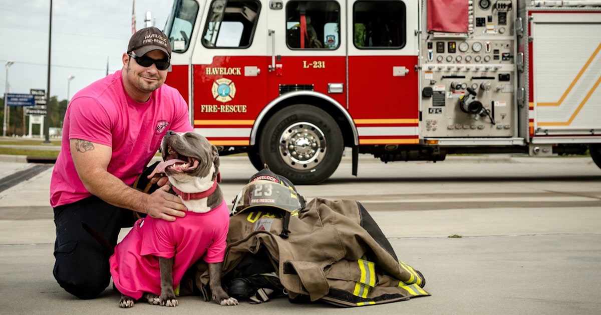 North Carolina dad punches shark to save teen daughter