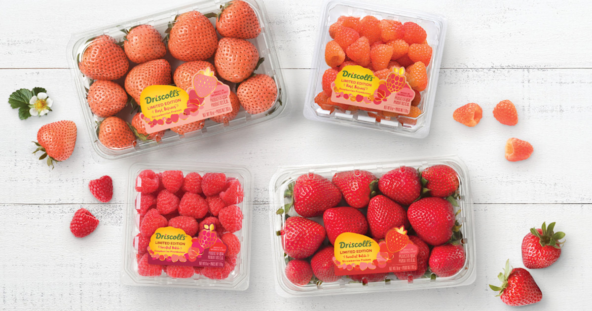 Driscoll's brings back popular rosé strawberries and raspberries for summer