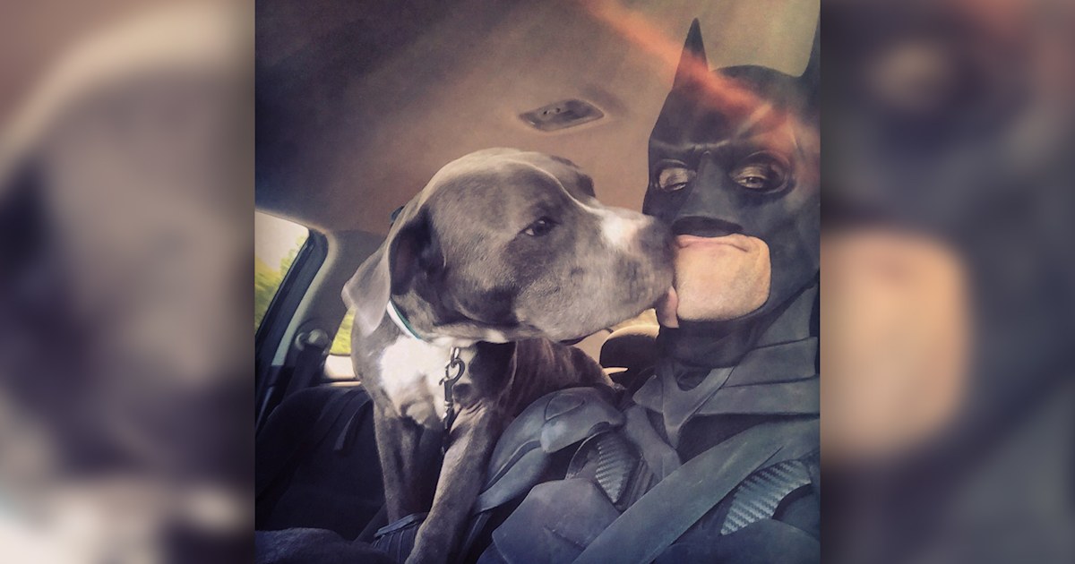 Real-life Batman rescues shelter animals from euthanasia