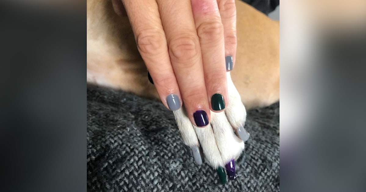 Pawdicures are a thing! People are wearing matching nail polish with ...