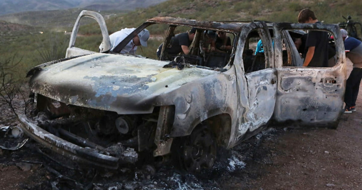 Audio released from frantic calls during deadly Mexico ambush