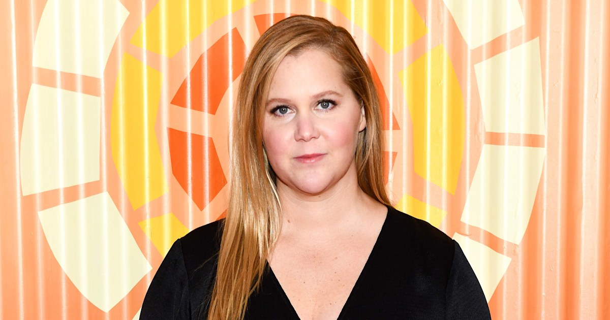 Amy Schumer shares update on IVF journey