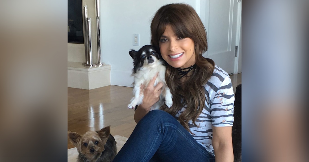 Paula Abdul's 2 dogs die in the same week