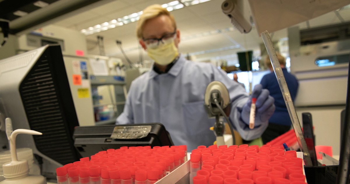 How does coronavirus testing work? How labs process COVID-19 nasal swabs