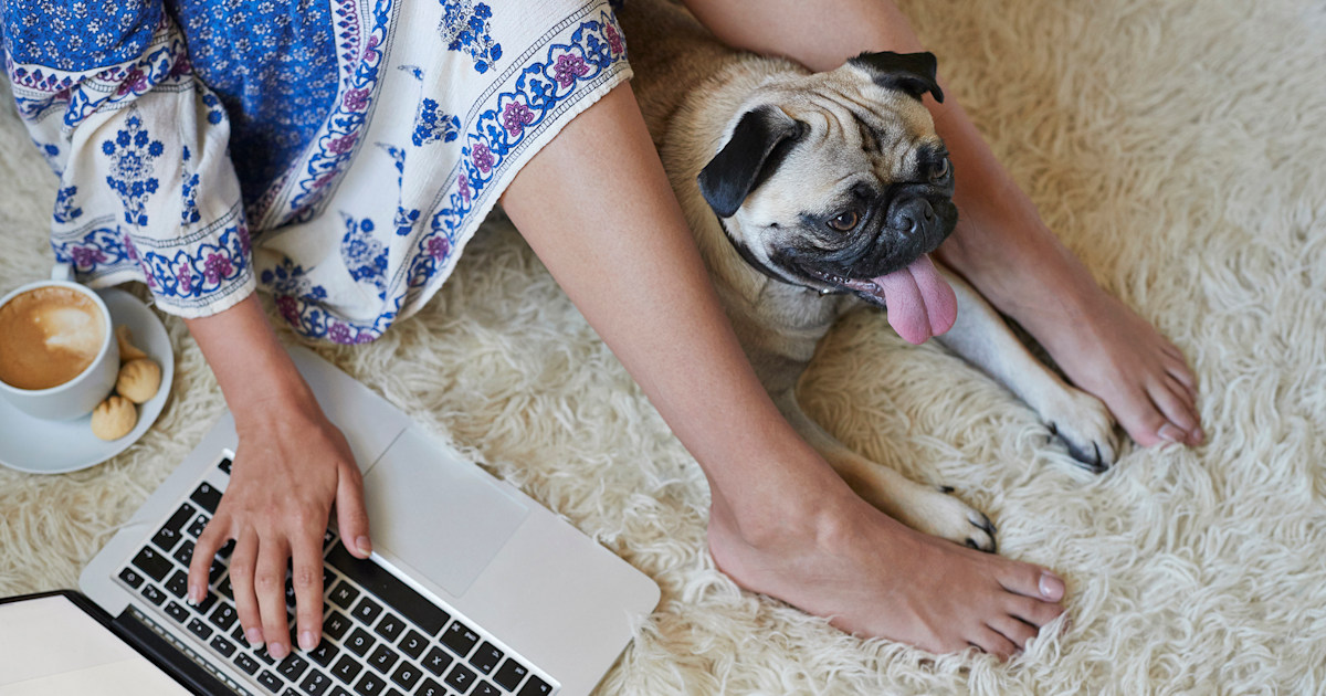 7 things we've learned to love about working from home