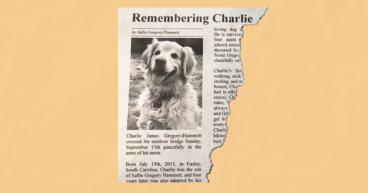 Woman's obituary for golden retriever goes viral on Twitter