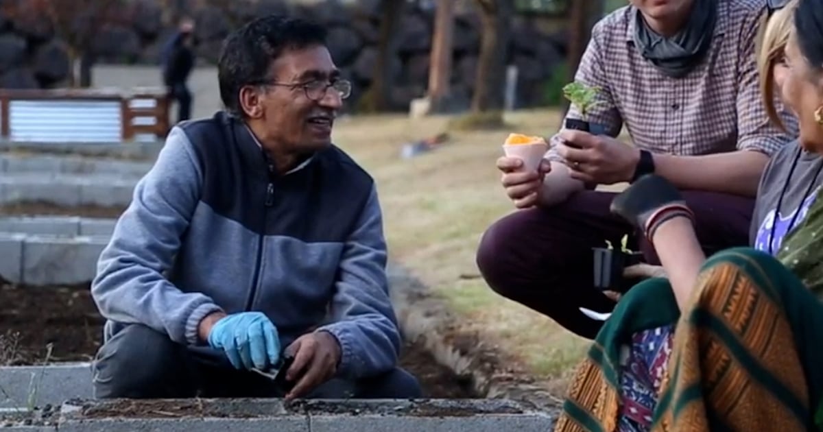 Community garden in Seattle gives new home to refugees