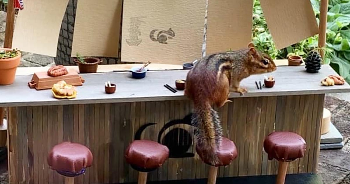 Georgia food writer opened a tiny restaurant for a chipmunk
