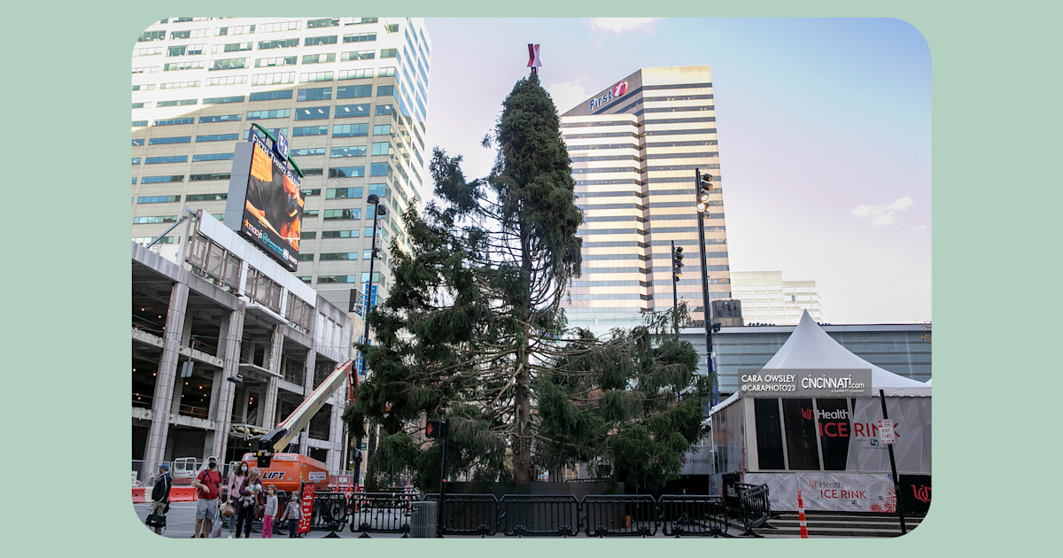 Misshapen Cincinnati Christmas tree is perfect for 2020
