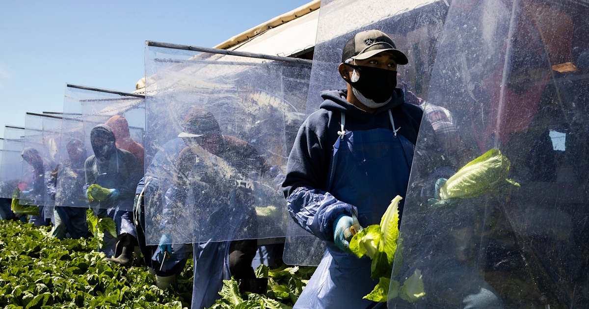 Twitter thread shows farm work behind Thanksgiving dinner