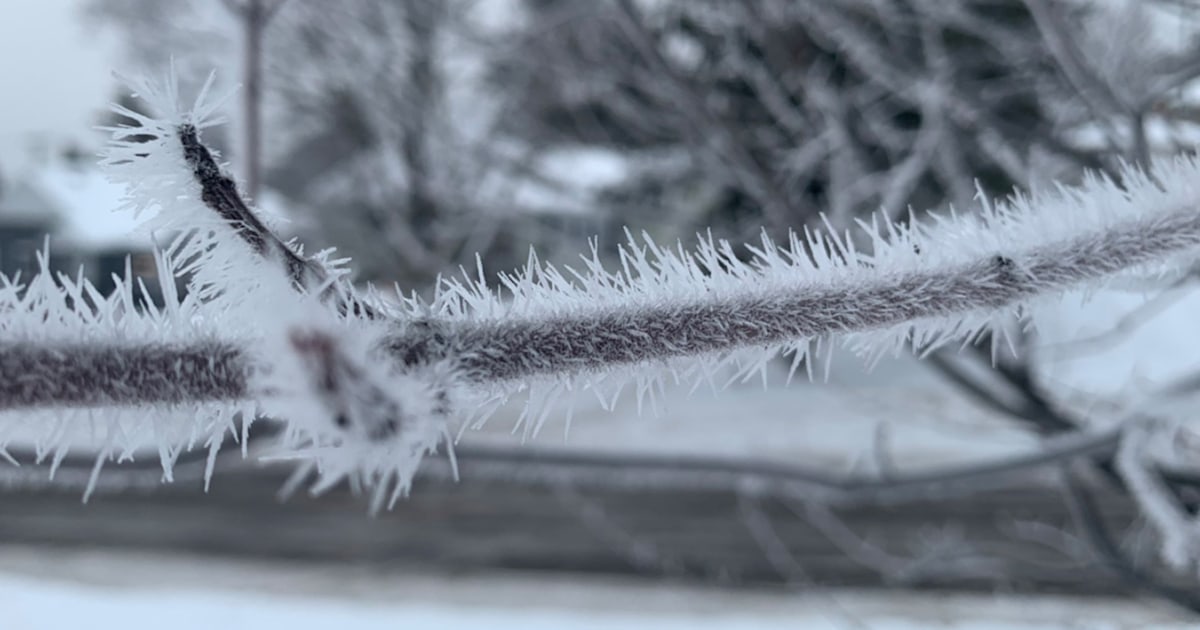 Rime ice is appearing in the Midwest — what is it? — TODAY
