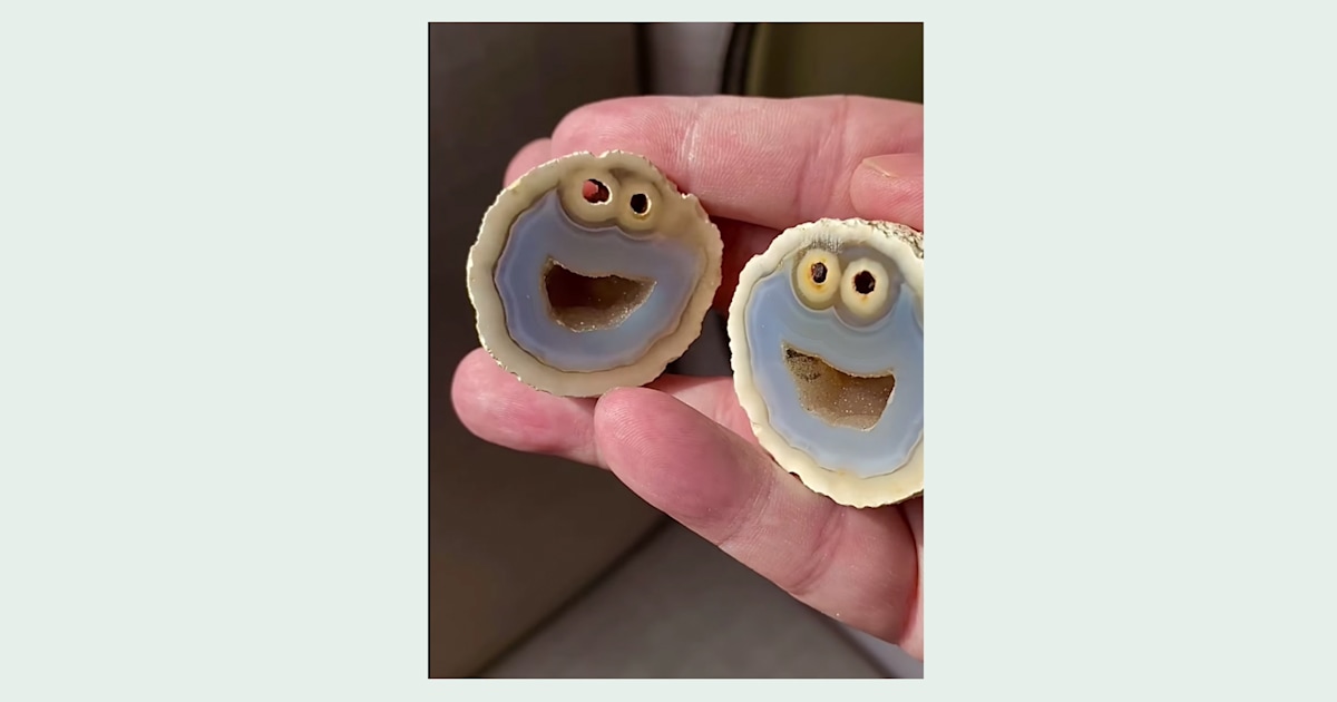 Gemologist discovers rock that looks like Cookie Monster