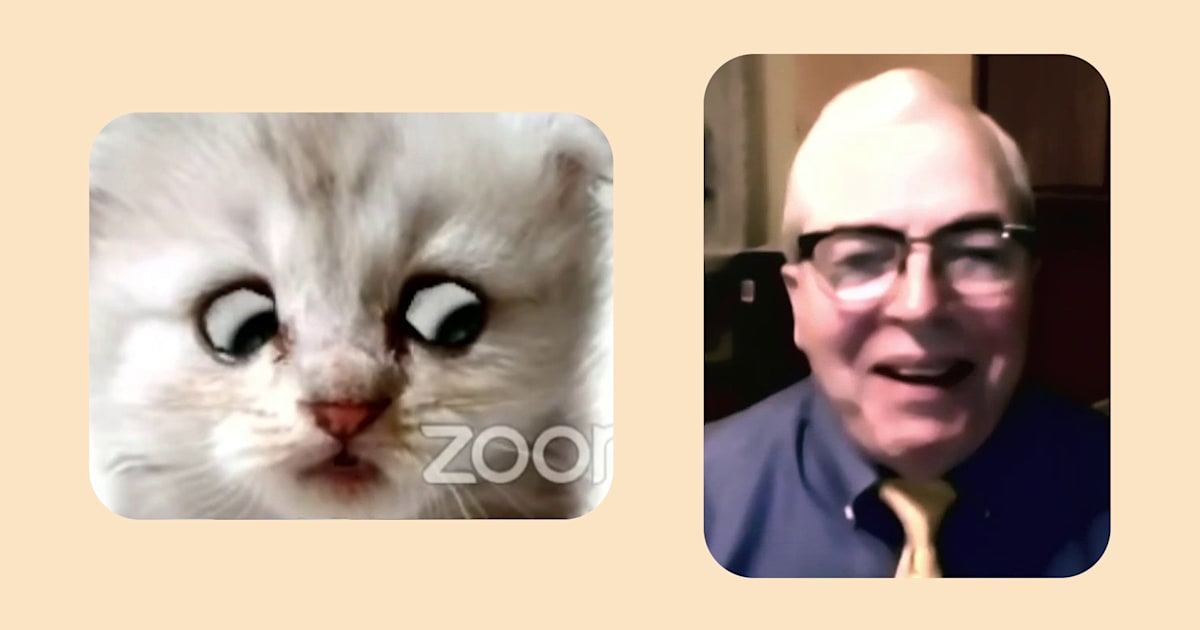 Meet 'cat lawyer' Rod Ponton who went viral after Zoom filter mishap