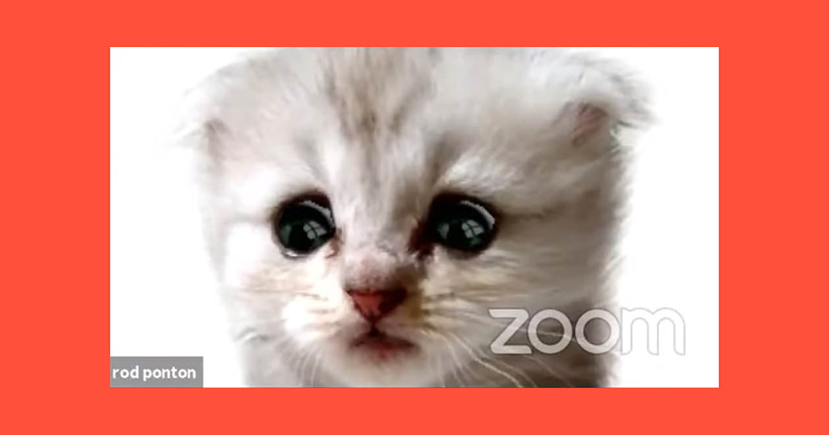 How to add or remove your cat filter from Zoom